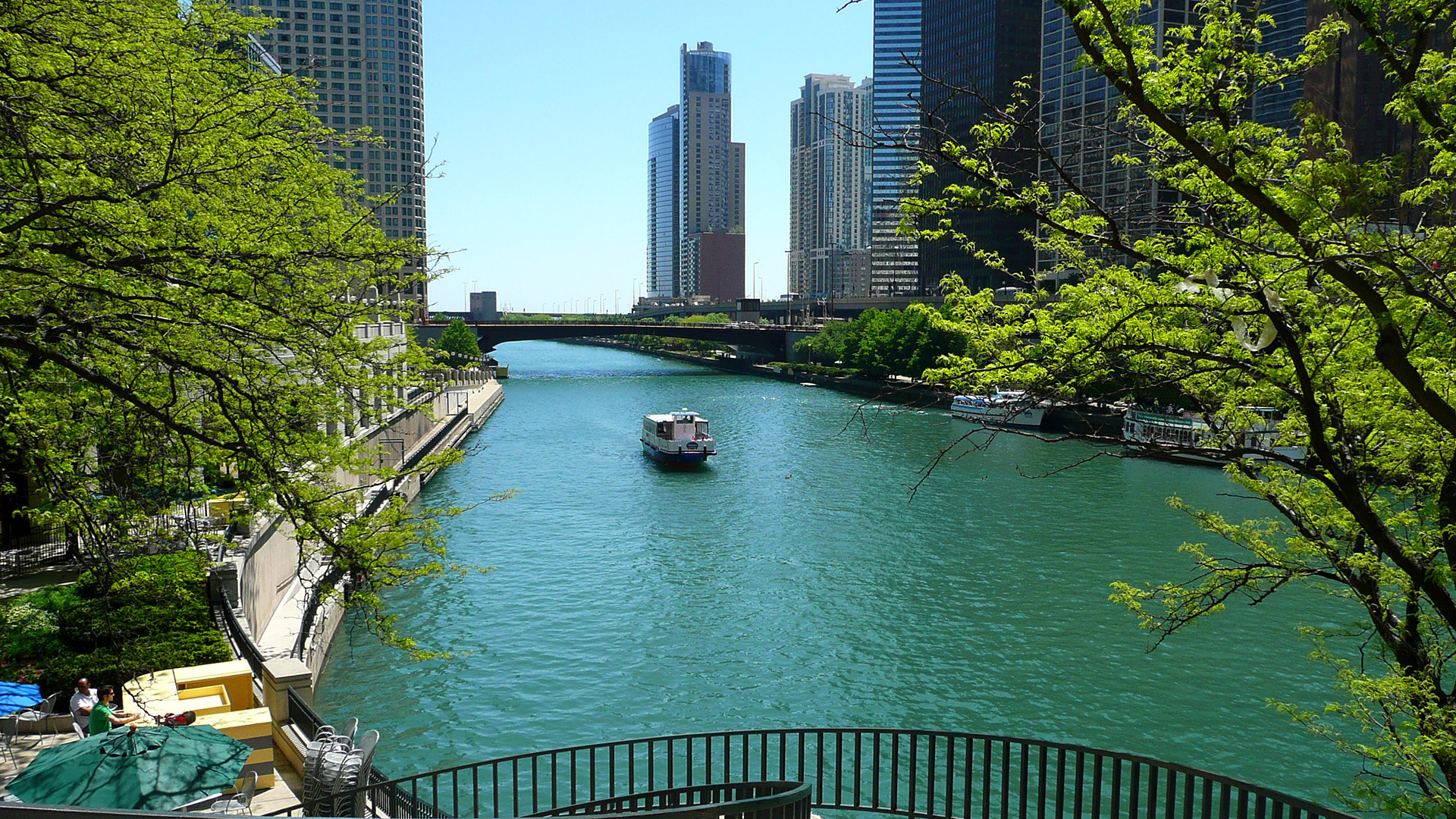 Chicago Real Estate Blog | Debra Dobbs